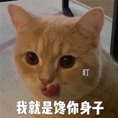 适合谈恋爱发的表情包合集 我太馋你的身子了 马住