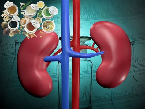 Biljke Za Lečenje Bolesti Bubrega Prirodno Lecenje