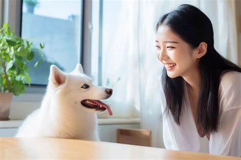 狗狗亂大小便怎麼教寵物訓練師教主人必備技能 家裡不再亂糟糟 ETtoday寵物雲 ETtoday新聞雲