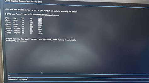 Can Someone Help Me Out With This Computer Programming Seneca Polytechnic College