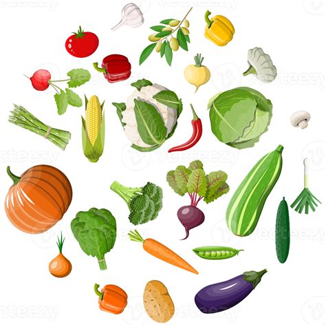 Various Vegetables Set 35774178 Png