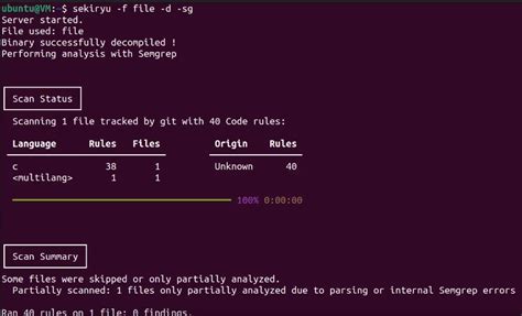 Sekiryu Comprehensive Toolkit For Ghidra Headless