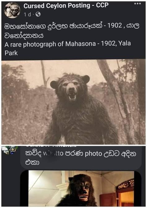පරණ පොටෝ R Sinhalamemes