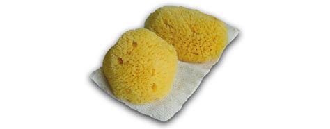 Menstrual Sex It S Not Just For Vampires Womens Health Sexual Health