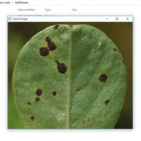 Automatic Leaf Disease Classification Using Hybrid Features And