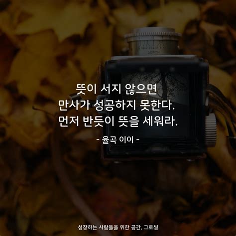 꽃잎 떨어져 바람인가 했더니 세월이더라 작자 미상 그로씽