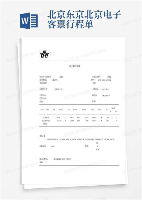北京东京北京电子客票行程单word模板下载 编号lpdknmzx 熊猫办公