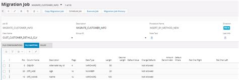 migrate data into custom logical units technical documentation for