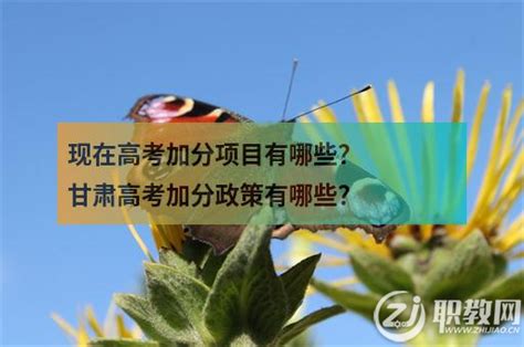 现在高考加分项目有哪些？甘肃高考加分政策有哪些？ 职教网