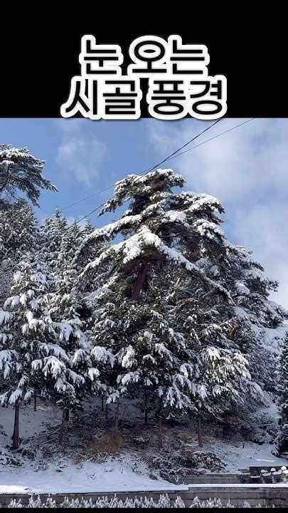 눈 덮인 시골 풍경 Youtube
