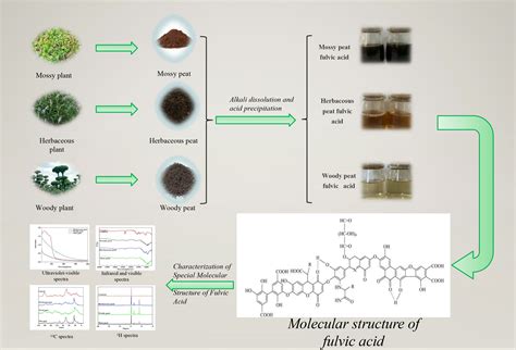 Preparation And Molecular Structural Characterization Of Fulvic Acid