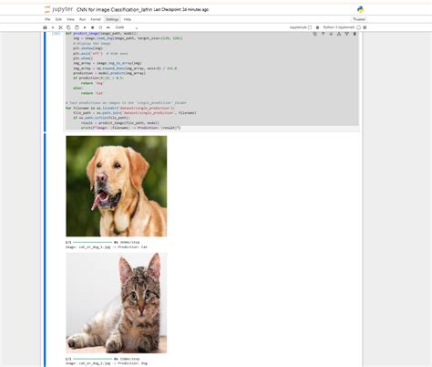 Building An Image Classification Model Using Convolutional Neural