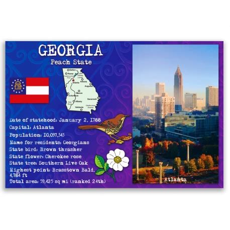 Georgia State Facts Postcard