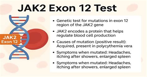 Jak2 Exon 12 Test Purpose Results Symptoms And Simple Guide All