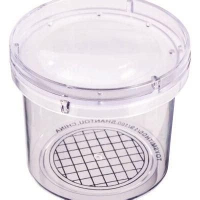 Magnifying Bug Viewer Captivating Science