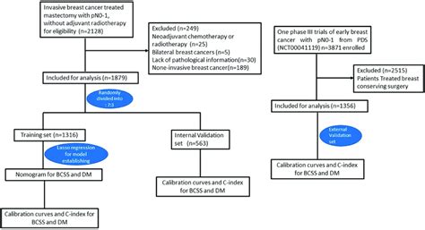 Flow Of Patient Selection And External Validation Download Scientific Diagram