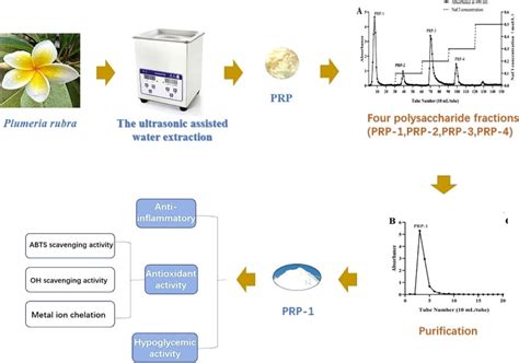 Extraction And Purification Structural Characterization And Biological Activity Of A