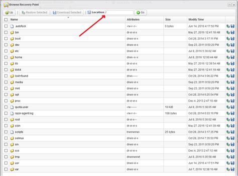 Restoring Files From R1Soft Backup