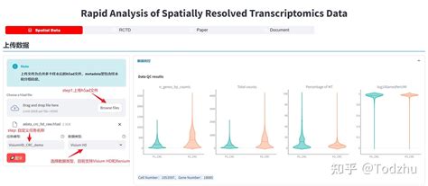 通过streamlit快速构建空间转录组可视化数据分析平台 知乎