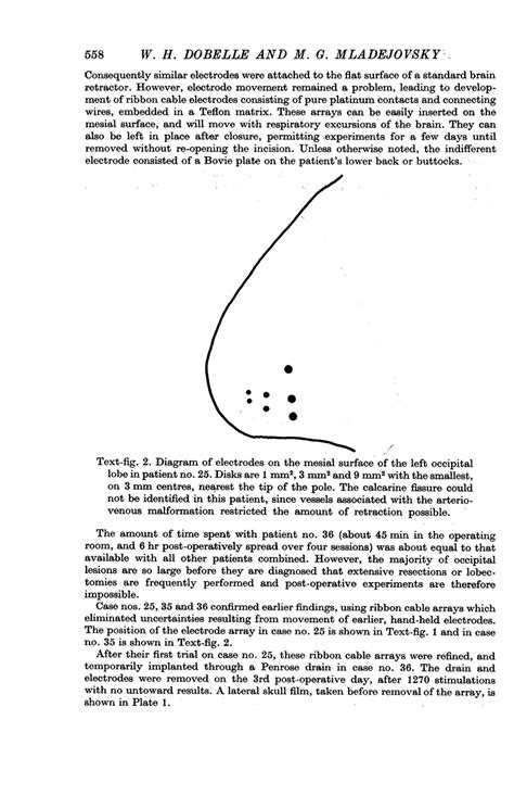 Phosphenes Produced By Electrical Stimulation Of Human Occipital Cortex And Their Application
