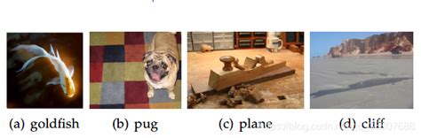 Senet论文详解 Csdn博客