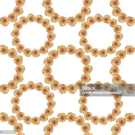 흰색 배경에 원활한 패턴 수채화 보호 화환 디자인을위한 원 프레임 테두리 템플릿 결혼식을위한 마른 꽃 오렌지 헤르바륨 손으로 그린 여름 가을 식물 복사 공간이 있는 아트 0