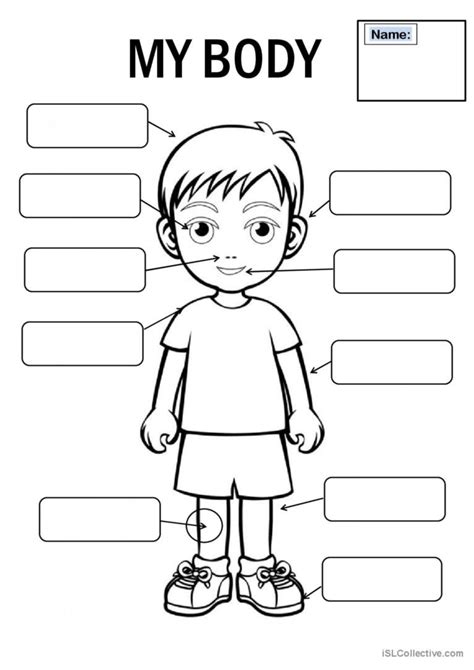 Body Parts Cut And Paste Pictionar English Esl Worksheets Pdf And Doc