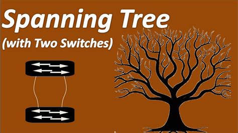Spanning Tree Algorithm With Two Switches Youtube