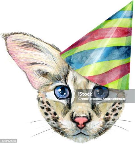 사랑 스러운 근접 촬영 초상화 사바나 고양이 벽지 흰색 배경에 손으로 그린 수채화 그림 가공의 인물에 대한 스톡 벡터 아트 및