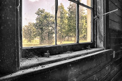 window black color free photo on pixabay