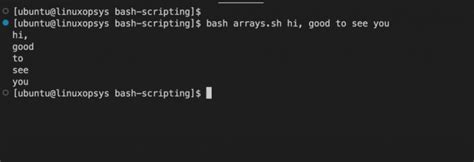 How To Pass All Arguments In Bash Scripting