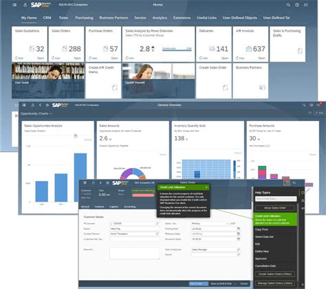 Sap Business One Sap Business One Roadmaptiming