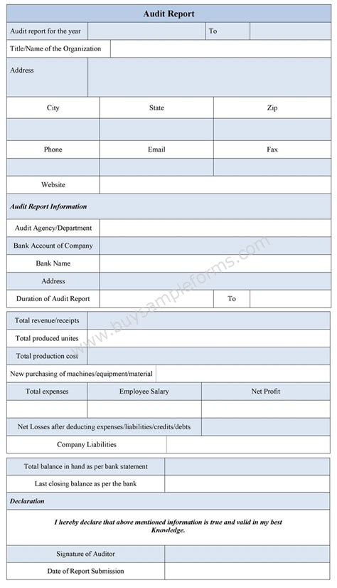 Audit Report Form