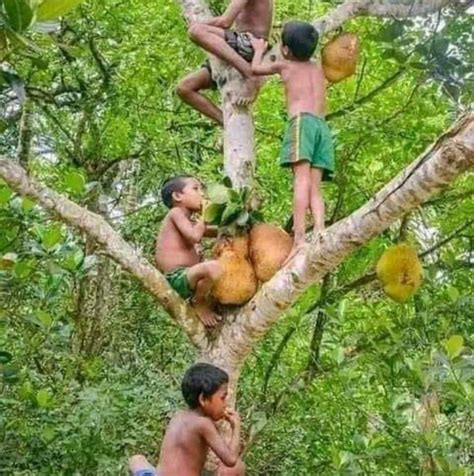 උවිදු සමග රජරට අපි