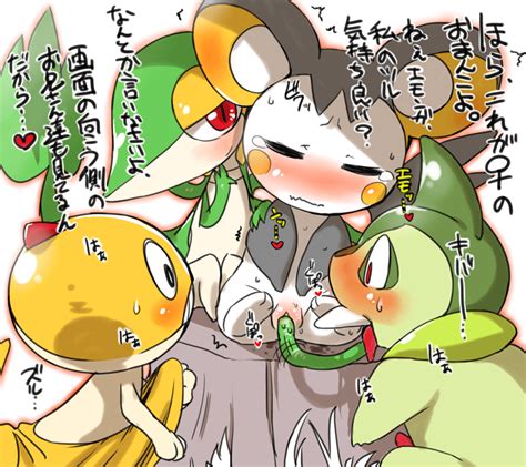 Rule 34 Axew Emolga Pokemon Pokemon Species Pokemon Bw Scraggy Snivy 903005