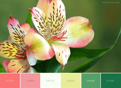 Best Spring Color Schemes For Blog SchemeColor Com