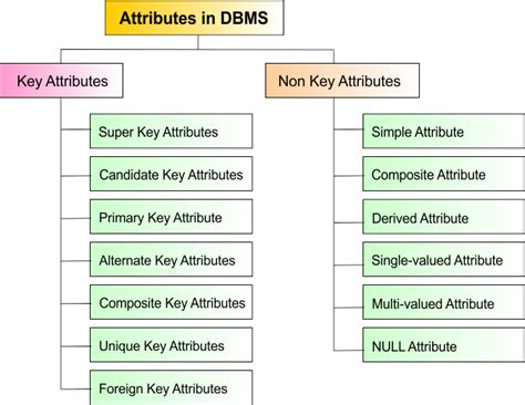 Attributes In Dbms Cs Taleem
