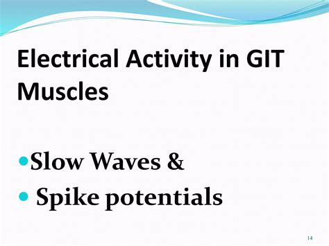 Introduction To Git Physiology Ppt