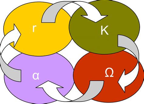 4 The Adaptive Cycle Model Source 570php