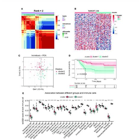 Identification Of Os Subclusters By Unsupervised Nmf Clustering With