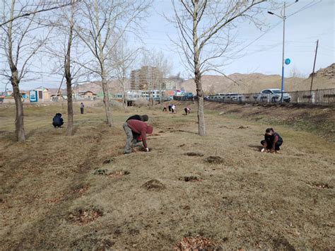 Залуучуудын хөдөлмөр эрхлэлтийг дэмжихзагвар төв Завхан аймаг Added A Залуучуудын