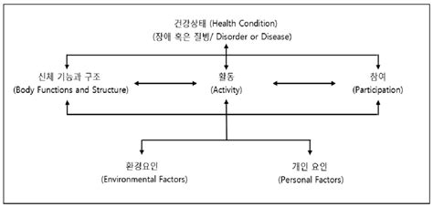 기능 장애 건강분류의 생물심리사회학적모형who 2001 Download Scientific Diagram