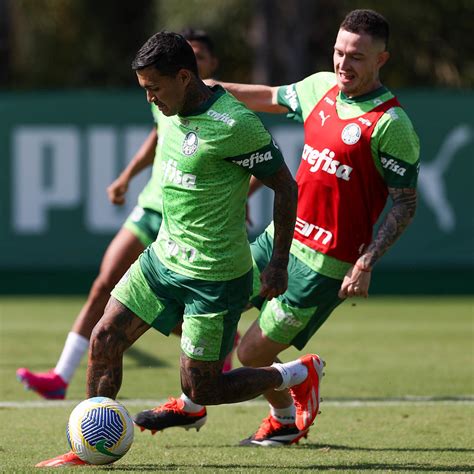 Veja Fotos Do último Treino Do Palmeiras Antes De Jogo Da Copa Do