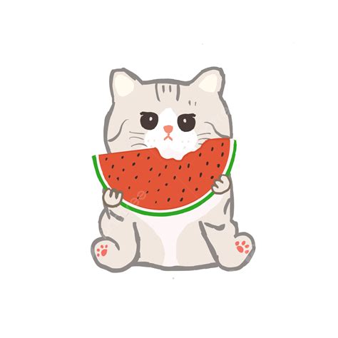 Cat Eat Watermelon Kucing Makan Semangka Cat Cat Eat Kucing Png