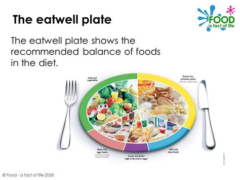 The Eatwell Plate © Food A Fact Of Life 2008 Ppt Video Online
