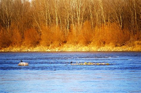 Comment Passer La Liste En Paramètre Dans Urlaction Code Chips