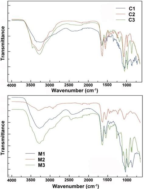 Ftir Spectral Analyses Of A Collagen Based Control Matrices C1 C3 Download Scientific Diagram