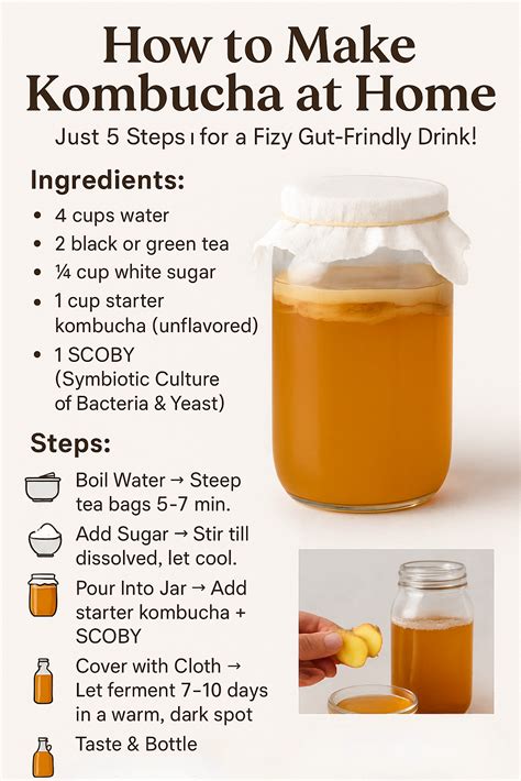 Homemade Kombucha In 5 Easy Steps 🍹 No Experience Needed Kombucha