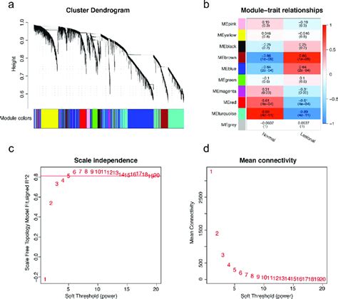 A The Cluster Dendrogram Of Genes In Independent Data Sets The Download Scientific Diagram