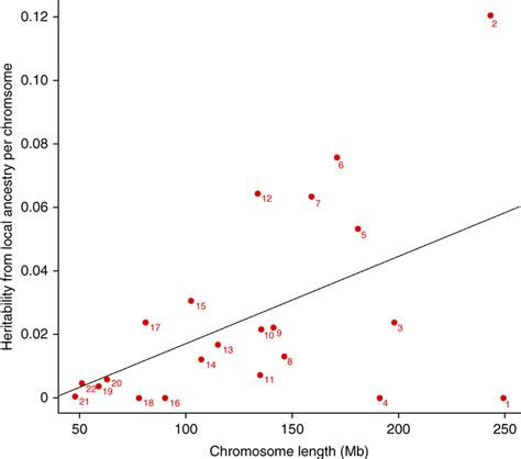 Estimated Heritability Of Height For Each Chromosome In The Care Data